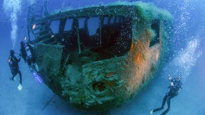 MyShot 2026: la fotografia subacquea che racconta il mare e il suo ...
